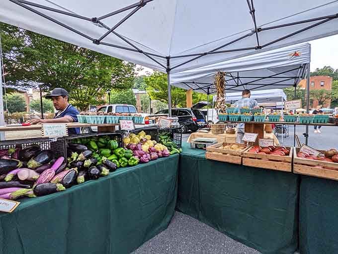Local farmers bringing the goods: eggplants so shiny you could check your reflection before buying.