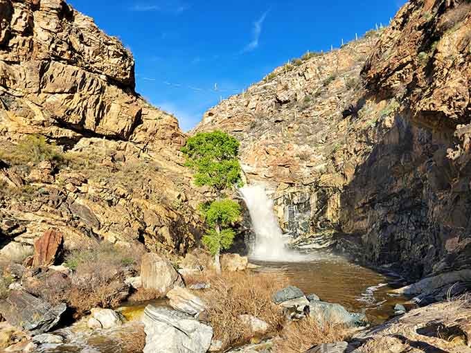 Desert waterfalls prove that even the Sonoran landscape can surprise you with unexpected liquid treasures.