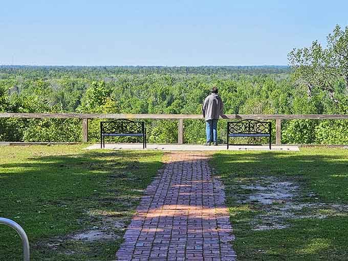 This brick pathway leads to panoramic forest views that stretch farther than your favorite Sunday drive ever could.