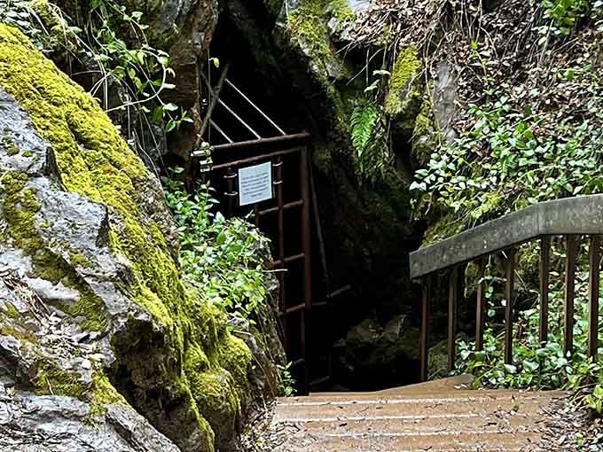 Moss-covered rocks frame the entrance like a secret garden gateway, inviting you into earth's cool underground retreat.