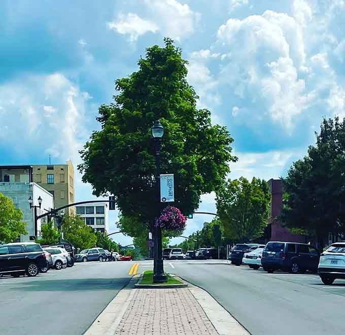 That towering tree stands like nature's exclamation point, declaring this place worth discovering and calling home.