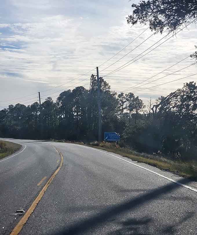 The open road curves gently through coastal forests, promising adventure around every bend without requiring a treasure map.