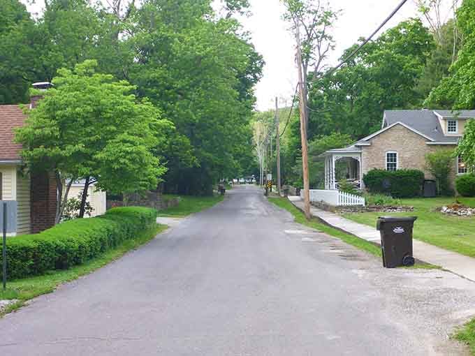Tree-lined streets create a green tunnel leading somewhere peaceful, where neighbors still wave and nobody rushes past you.