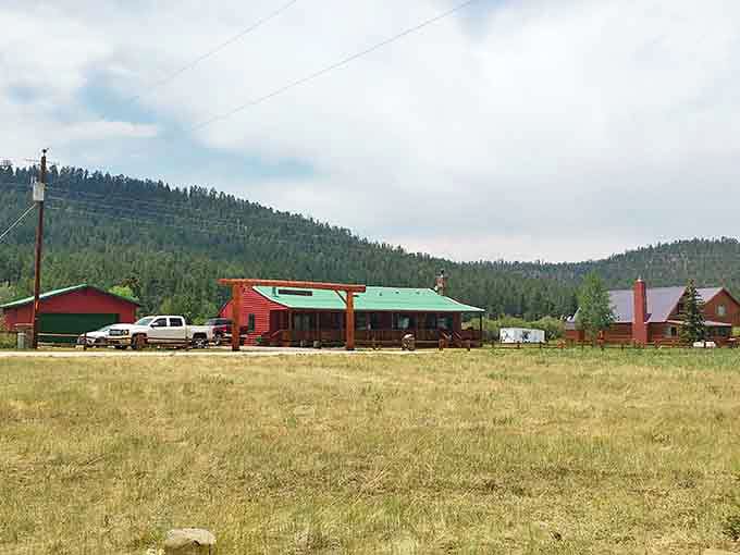 Greer's rustic charm comes with a pond view that turns morning coffee into a five-star experience.