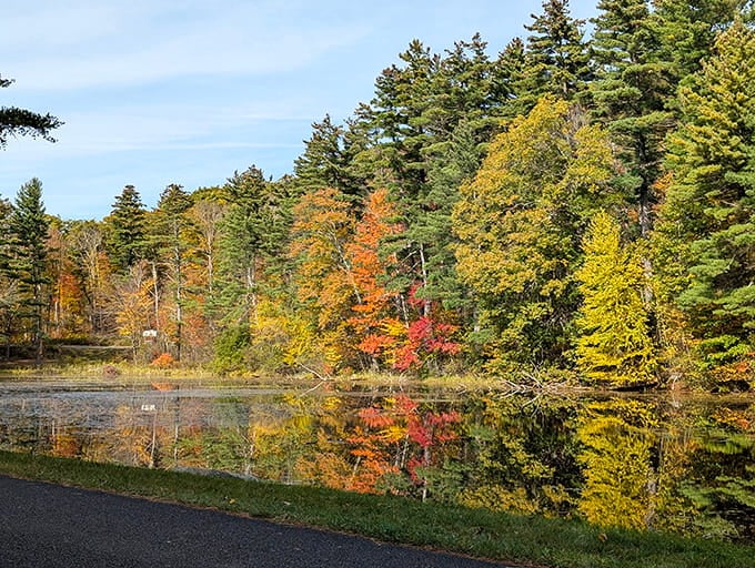Trees dressed in their finest autumn colors pose beside their reflections, creating a scene worthy of any museum wall.
