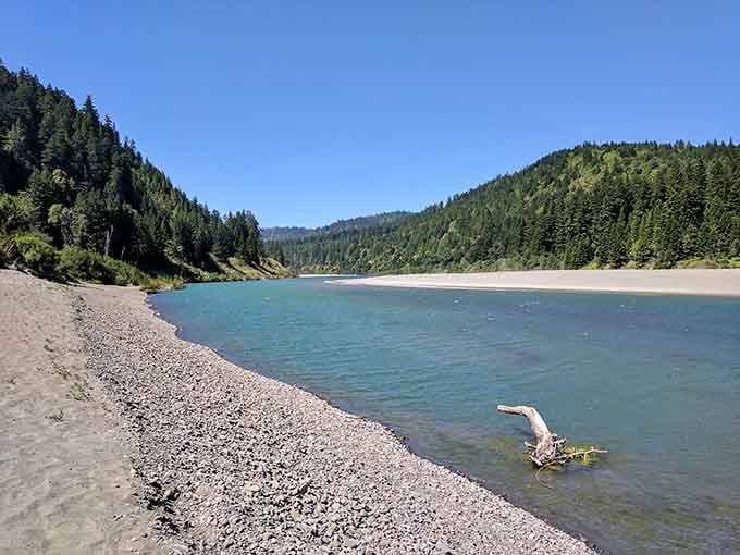 A pristine beach curves along forested hills, its sand untouched and inviting like something from a desert island dream.