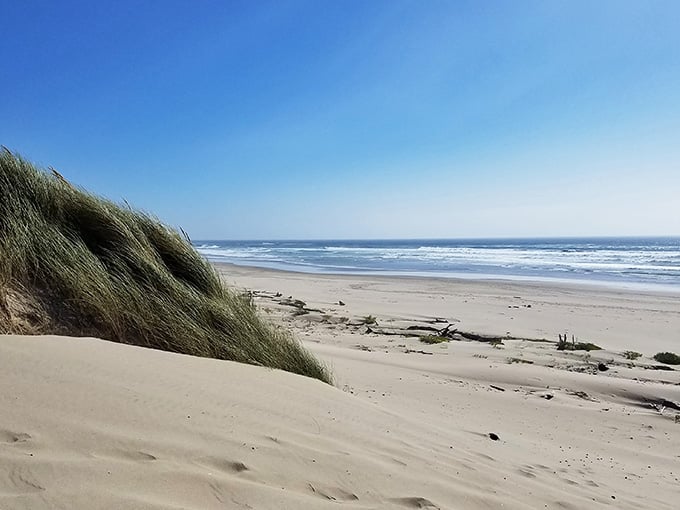 Soft sand dunes slope toward endless beach where footprints disappear with each incoming tide cycle naturally.