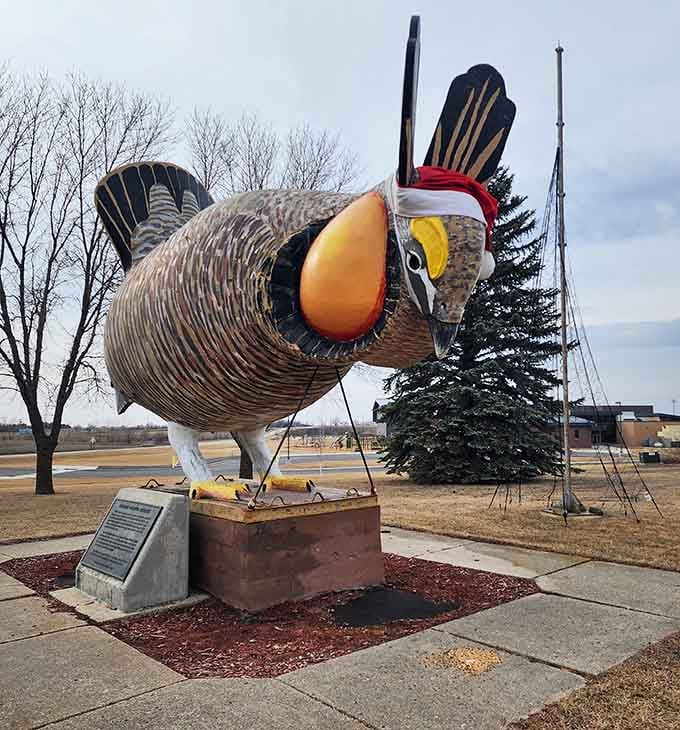 This magnificent bird stands frozen mid-mating dance, its orange eye catching the light like a sunset over the prairie.