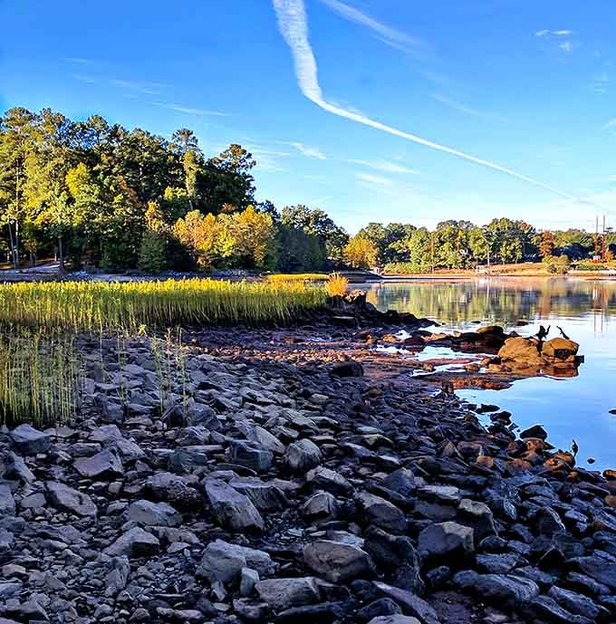 Golden autumn trees reflect in still water creating a mirror image that makes you reach for your camera.