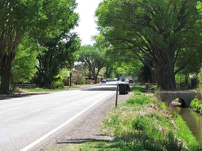 Torrey's tree-lined road creates a green tunnel that opens to reveal the dramatic landscape beyond.