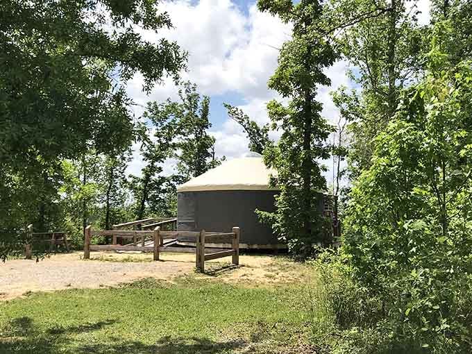 A cozy yurt tucked among the trees offers camping comfort for folks who appreciate nature without roughing it too much.