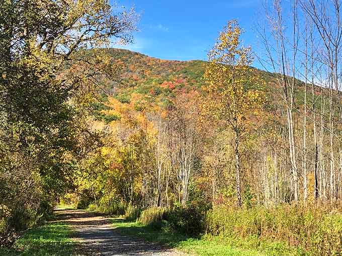 The Thunderbolt Trail welcomes hikers while Mount Greylock looms behind, wearing its autumn colors like a crown.