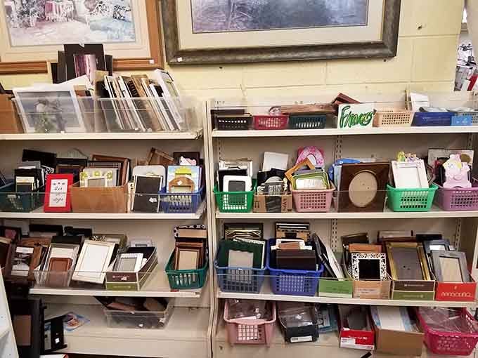 Picture frames in every size and style, ready to showcase your memories without the usual retail markup madness.