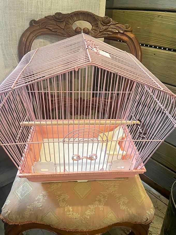 A vintage birdcage in perfect pink, because even our feathered friends deserved stylish accommodations back in the day.