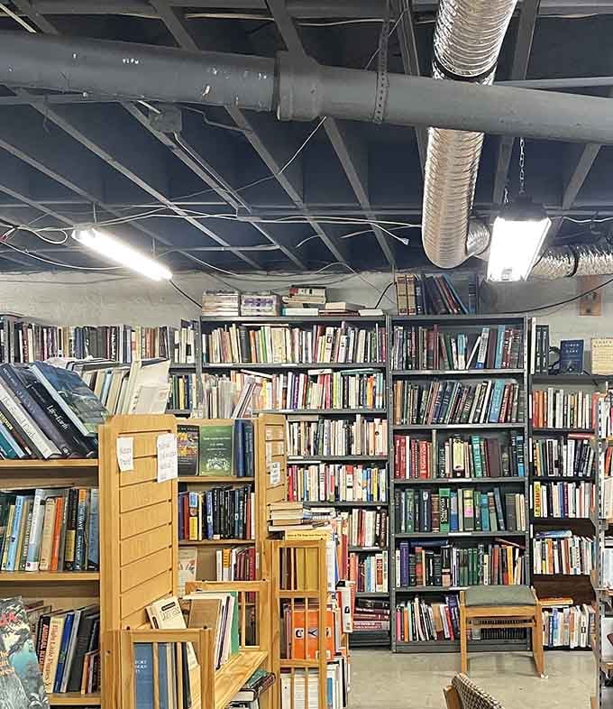 Multiple levels mean multiple opportunities to find that one book you didn't know you desperately needed today.