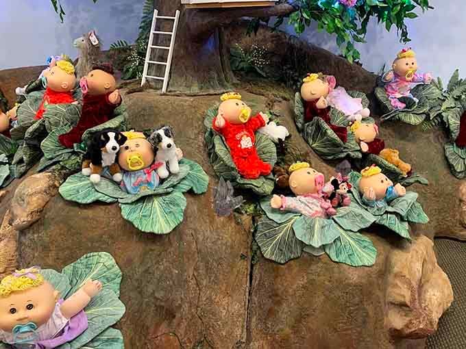 The famous cabbage patch itself, where dolls emerge from vegetables. Biology teachers everywhere are having a collective nervous breakdown.