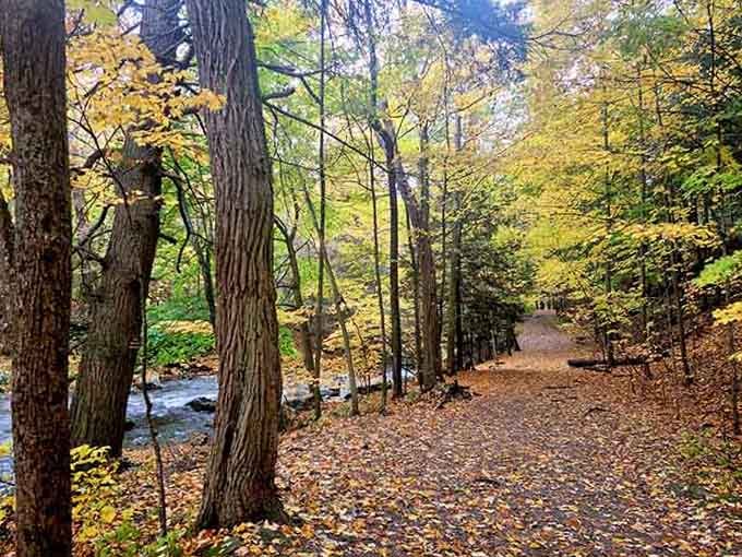Fall foliage meets rushing water in a combination that's more satisfying than finding an empty parking spot at Costco.