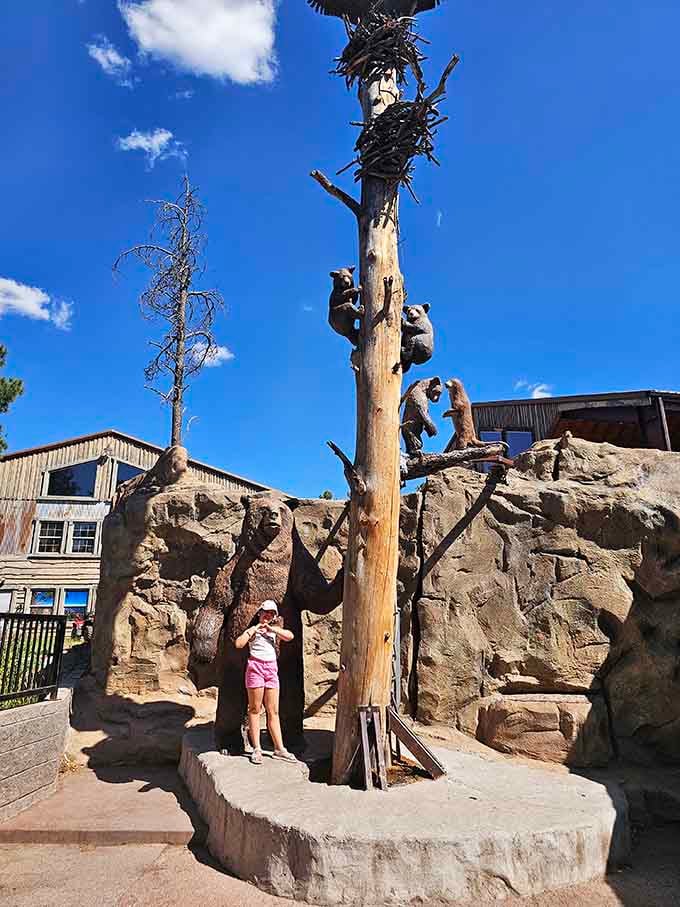 Bears climbing trees like oversized kids on a jungle gym, proving playtime never gets old regardless of species.
