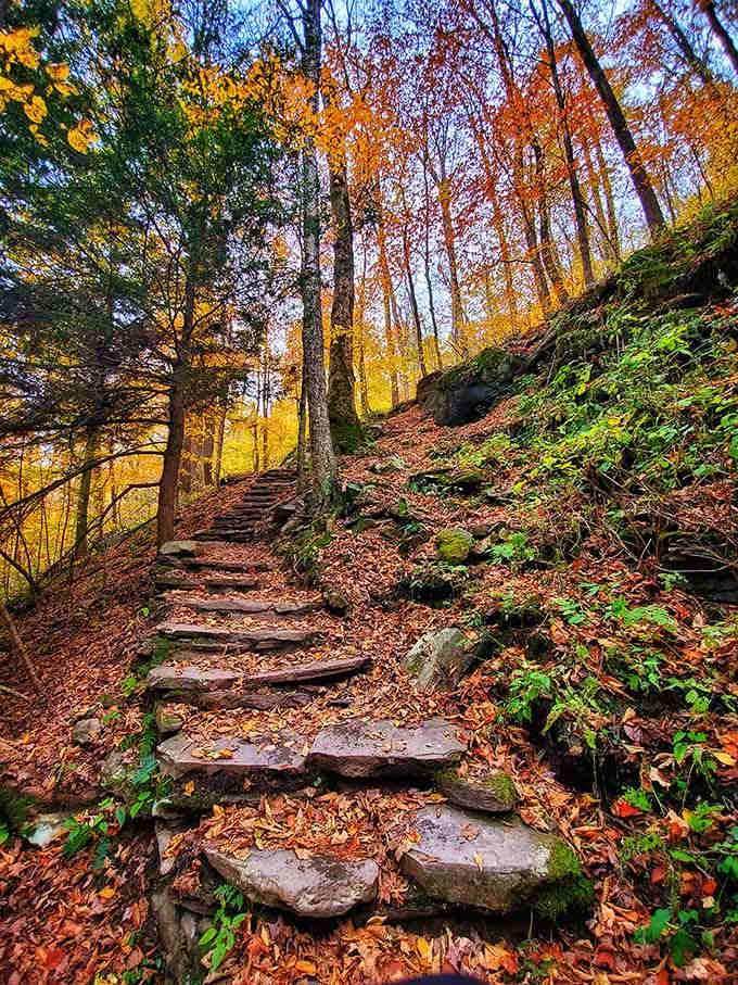 Stone steps wind through autumn forest like nature's own StairMaster, except the views actually make the climb worthwhile.