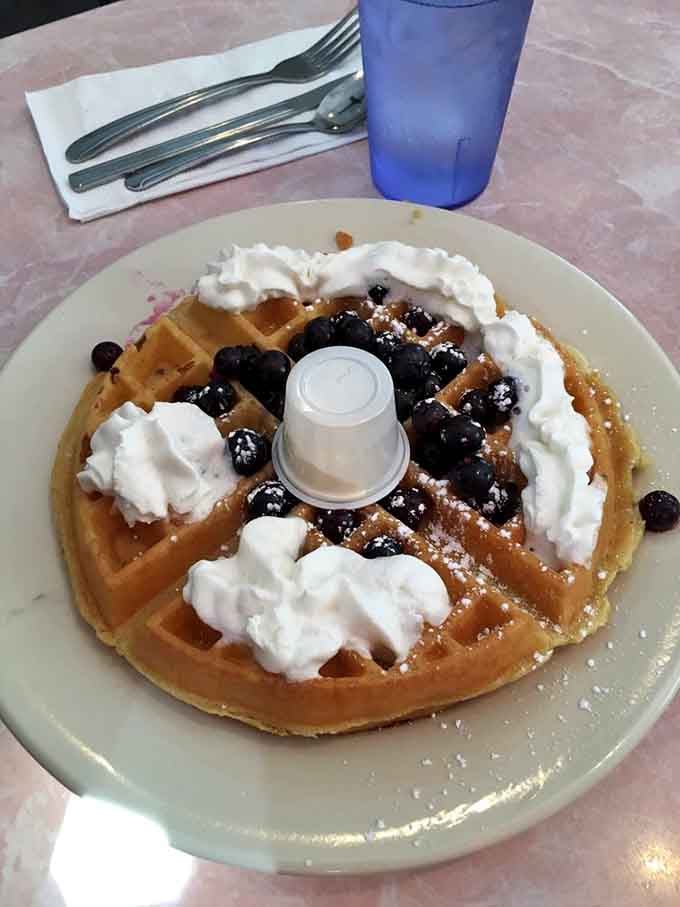 Belgian waffle topped with blueberries and whipped cream, because sometimes breakfast needs to look like a celebration of itself.