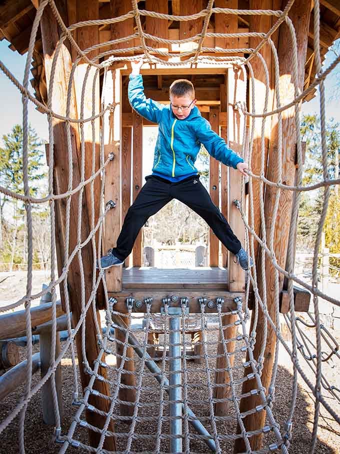 Rope tunnels that turn ordinary kids into determined climbers who suddenly understand what "core strength" actually means.