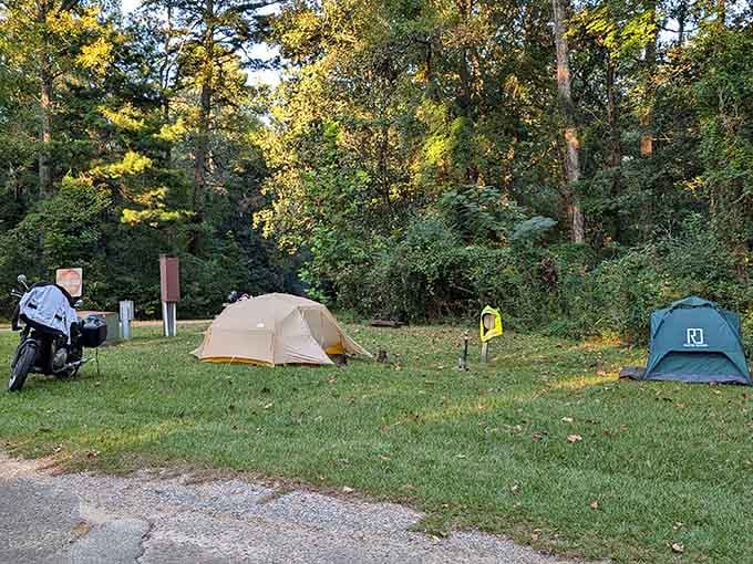 Camping under the stars here means waking up to birdsong instead of traffic, a fair trade indeed.