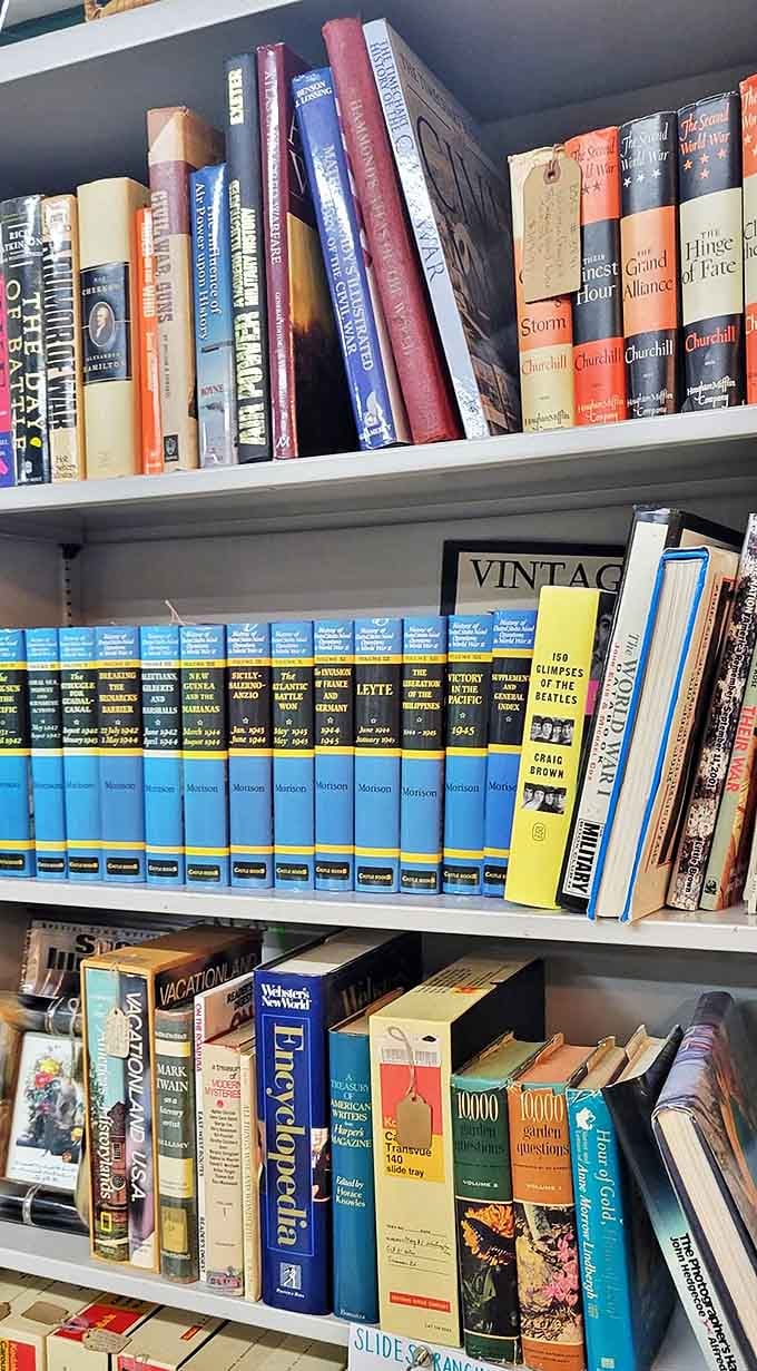 A library of history waiting to be rediscovered, where Churchill's words stand shoulder to shoulder with glimpses of The Beatles.