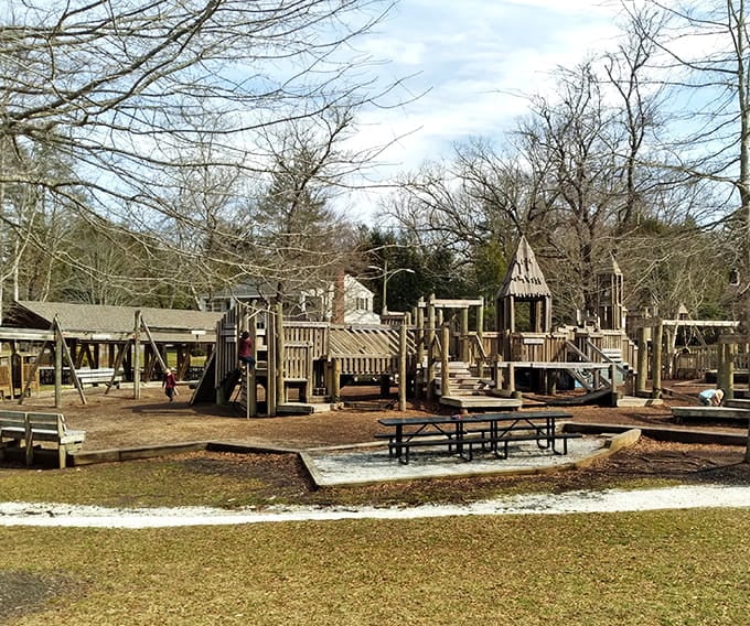 Franklin Park's playground equipment suggests that Brevard takes its family-friendly reputation seriously, with structures that encourage actual outdoor play.