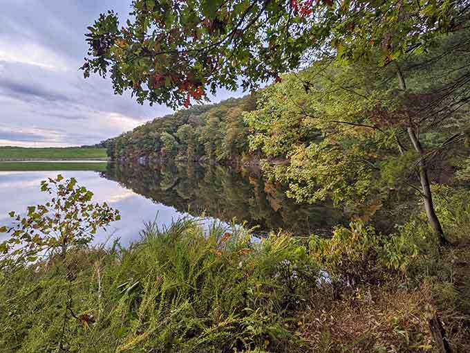 Mirror-like reflections so perfect they make your phone's camera feel like a professional photographer suddenly.