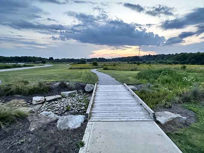 Frohring Meadows' boardwalk stretches into wetlands where sunset walks remind you why getting off the couch matters.