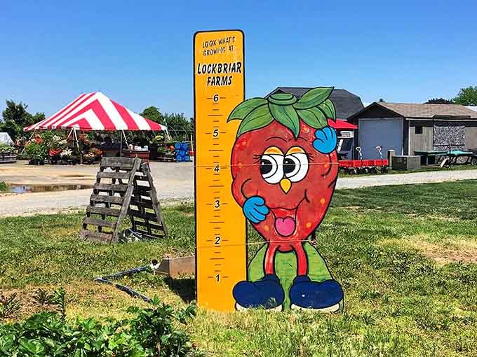 That strawberry character knows exactly what's growing here, and it's not corporate agriculture.