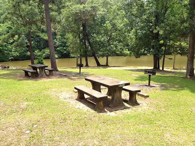 Lakeside picnic tables where your sandwich tastes better simply because you're eating it outside near water.