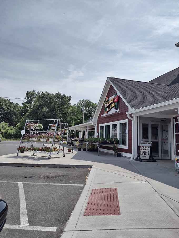 McKinstry's farm stand brings that authentic New England charm where hanging baskets actually mean something.