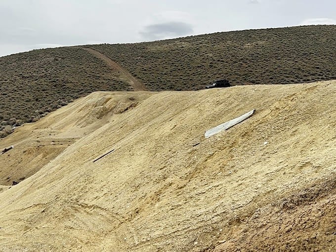 That sandboard abandoned mid-slope tells you everything about the climb back up that someone's calves are currently regretting.