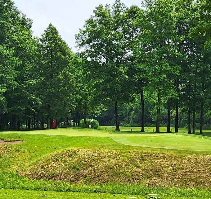Cobblestone Golf Course offers peaceful greens where you can actually get a tee time without selling plasma.
