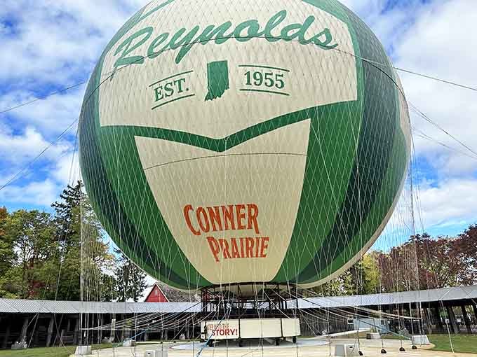 That vintage balloon design takes you skyward in style, proving that sometimes old-school transportation beats any modern theme park ride.