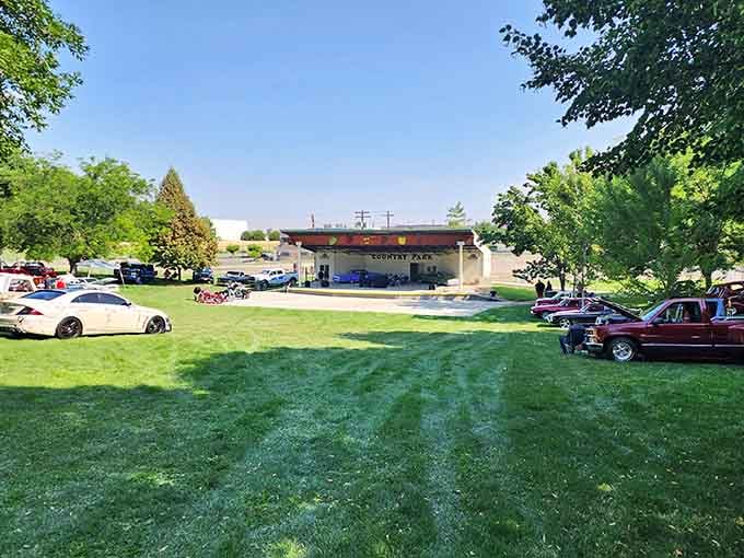 Classic cars on green grass—the kind of community gathering that doesn't involve arguing on social media.