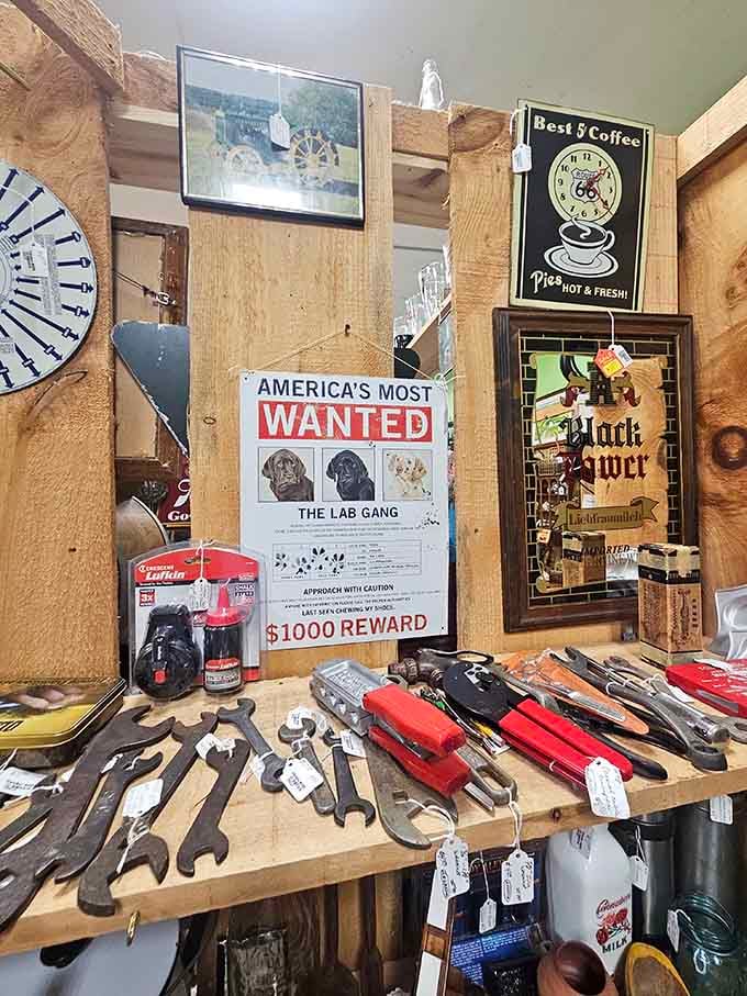 Old tools and vintage signs create a display that's part hardware store, part time machine, all treasure hunt.