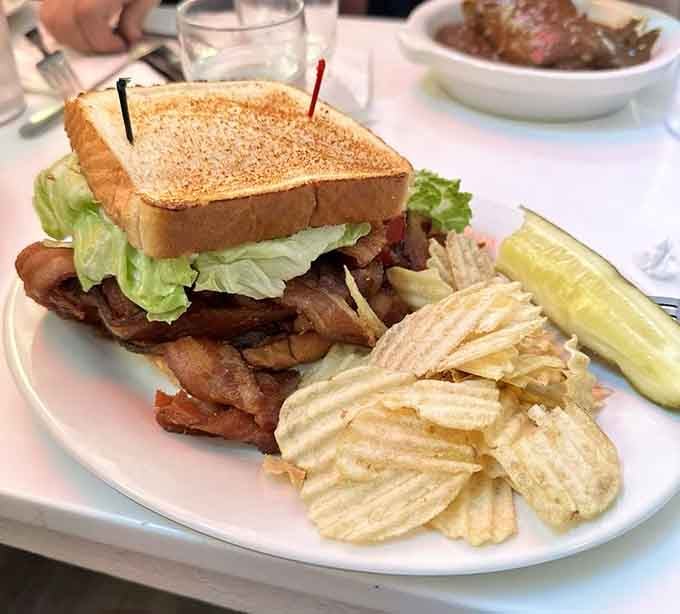 When bacon meets lettuce and tomato on toasted bread, magic happens on a plate.
