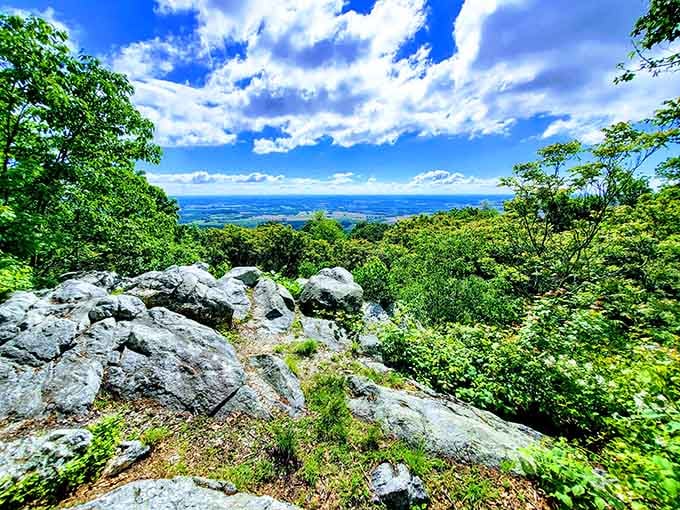 Views that stretch forever, reminding you why people have been climbing mountains since the beginning of time.