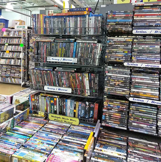 The DVD section is organized with the dedication of a film professor's syllabus. "Scary/Horror" and "Action/Drama" labels helpfully prevent accidental purchases of "The Notebook."