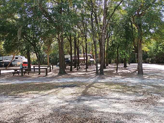 Shaded campsites under oak trees where you can pretend you're roughing it while being minutes from an underground paradise.