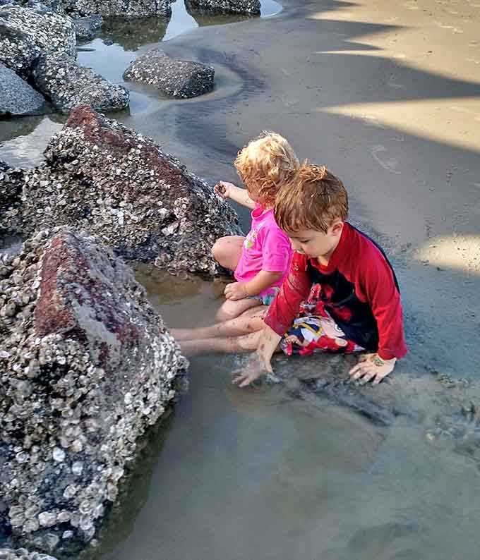 Future marine biologists in training, discovering that the best classroom doesn't have walls or worksheets.