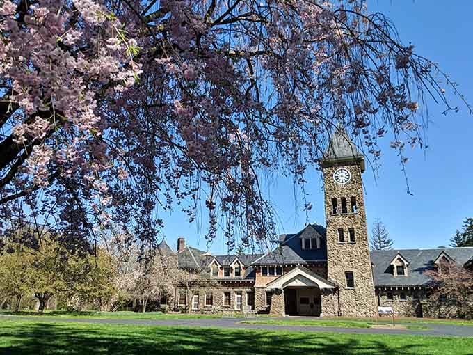 Historic architecture with a clock tower that's been keeping time longer than most of us have been alive.