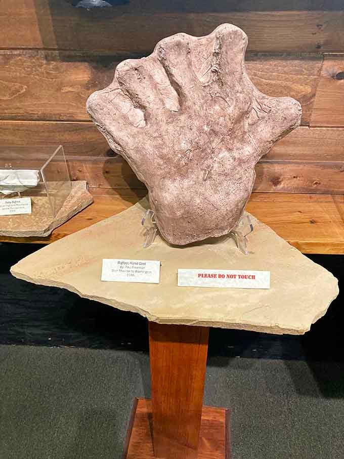 This hand cast from Washington state makes you wonder what kind of moisturizer Bigfoot uses, if any.