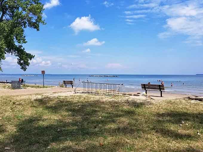 Benches positioned perfectly for contemplating life's mysteries or just watching people attempt to parallel park their boats.