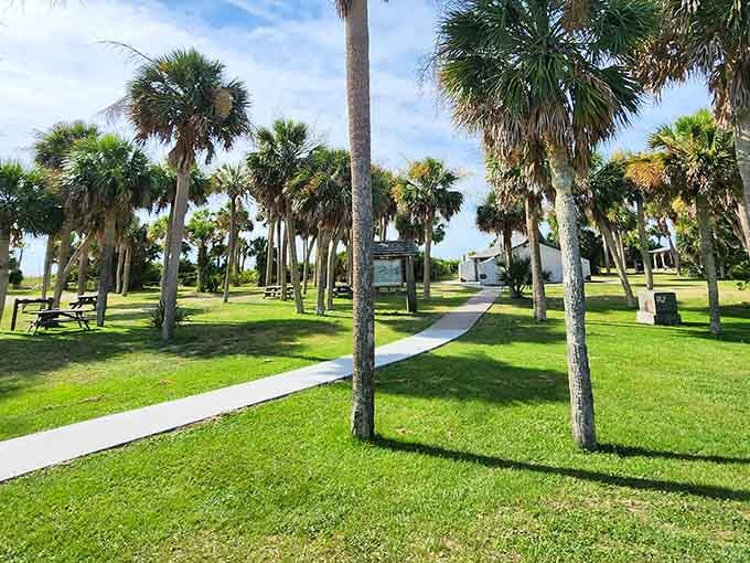 Picnic areas shaded by towering palms offer the perfect lunch spot after a morning of beach exploration and shell hunting.