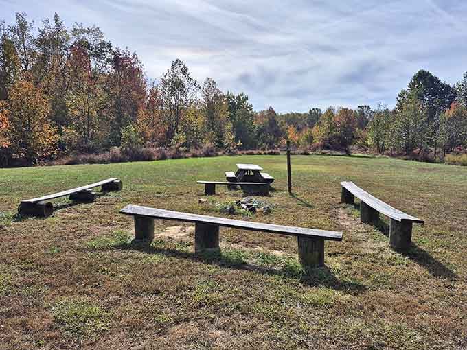 Picnic areas with waterfront views turn ordinary sandwiches into memorable meals worth savoring slowly.