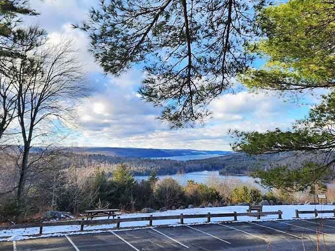 Enfield Lookout offers sweeping Massachusetts views, pine branches framing rolling hills and water like a perfectly painted postcard.