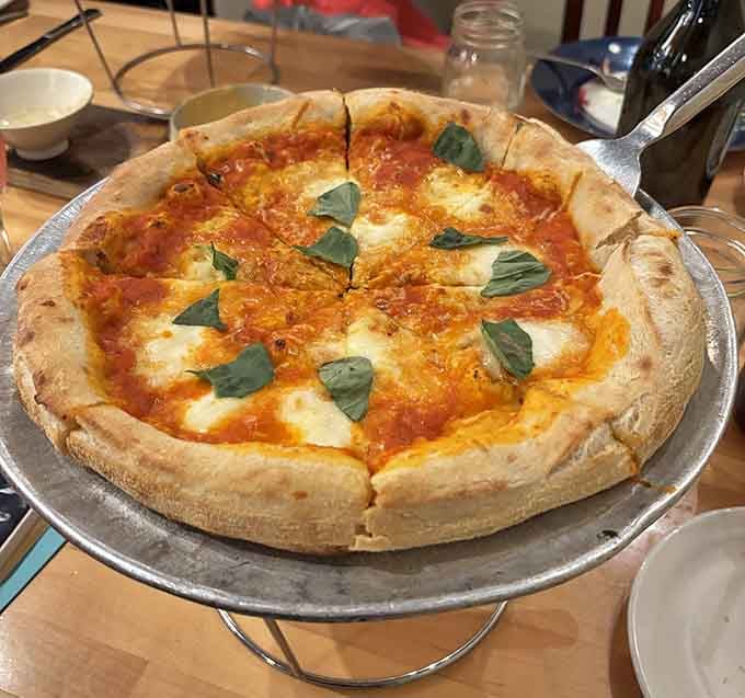 A classic margherita pizza with that blistered, hand-tossed crust that makes you understand why people get emotional about dough.